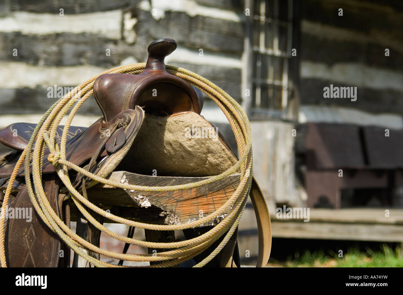 Saddle and lasso in front of log cabin Stock Photo - Alamy
