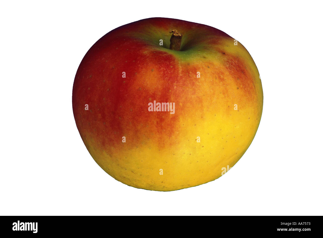 Elstar apple hi-res stock photography and images - Alamy