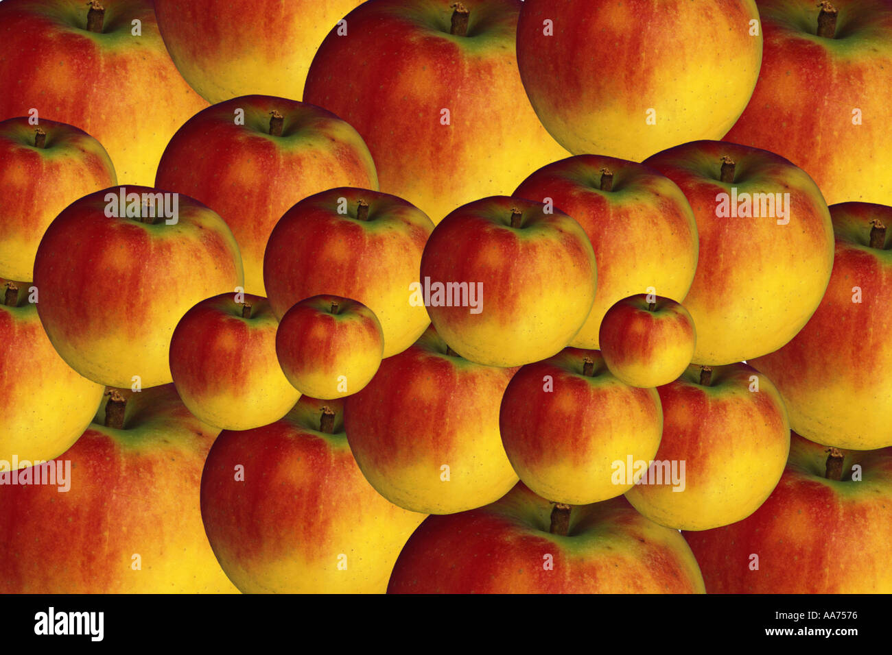 Fruit apple single Elstar apples frame to frame Stock Photo - Alamy