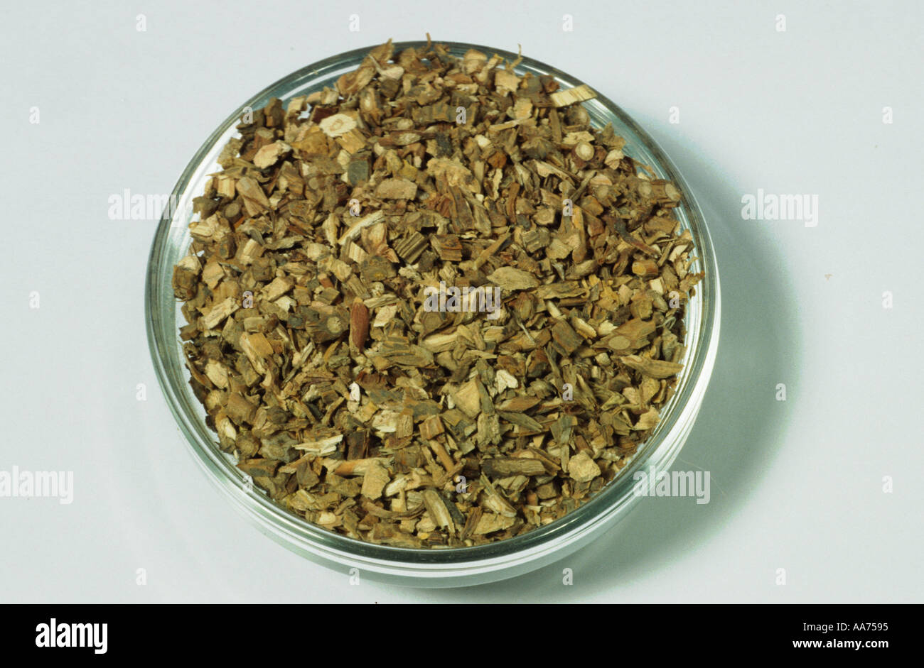 Sarsaparill hi-res stock photography and images - Alamy