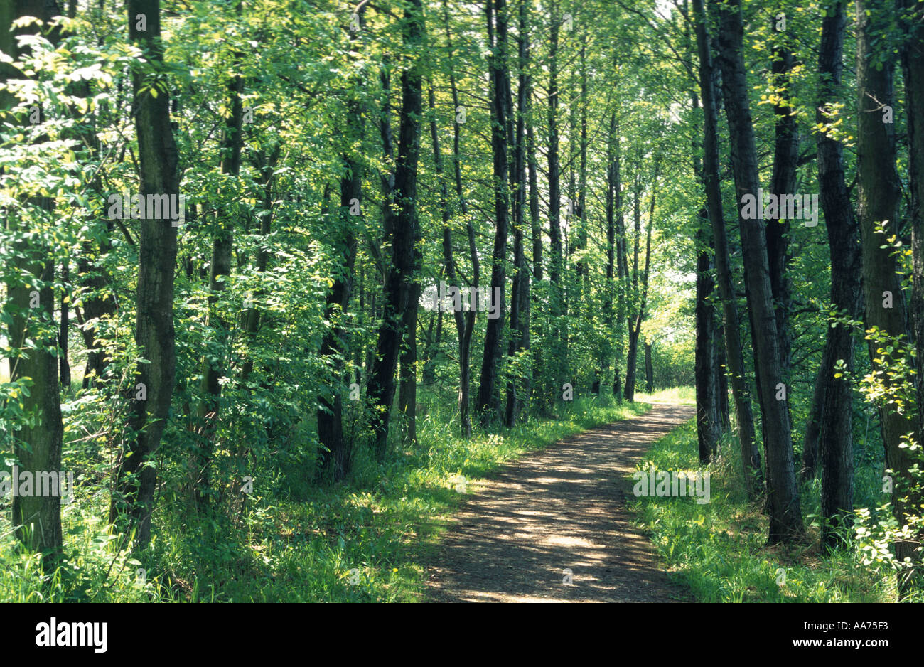 Wingst germany hi-res stock photography and images - Alamy