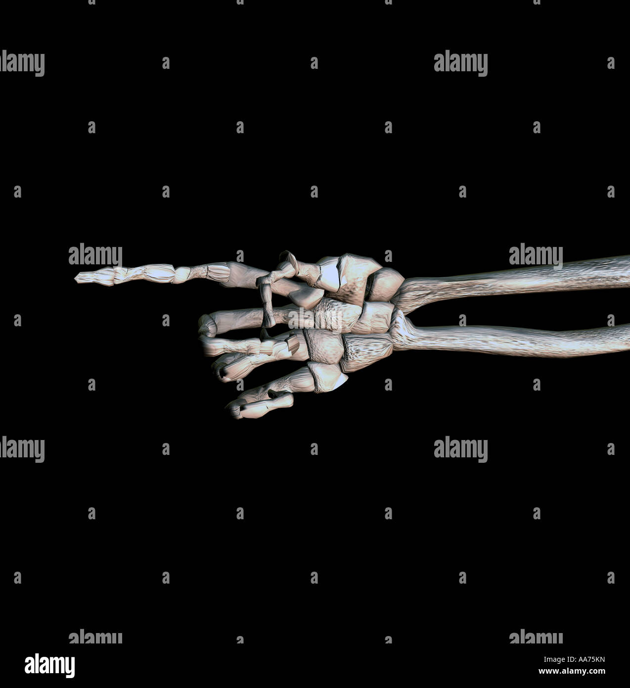 Skeleton hand pointing Stock Photo - Alamy Skeleton hand pointing Stock Photo - Alamy