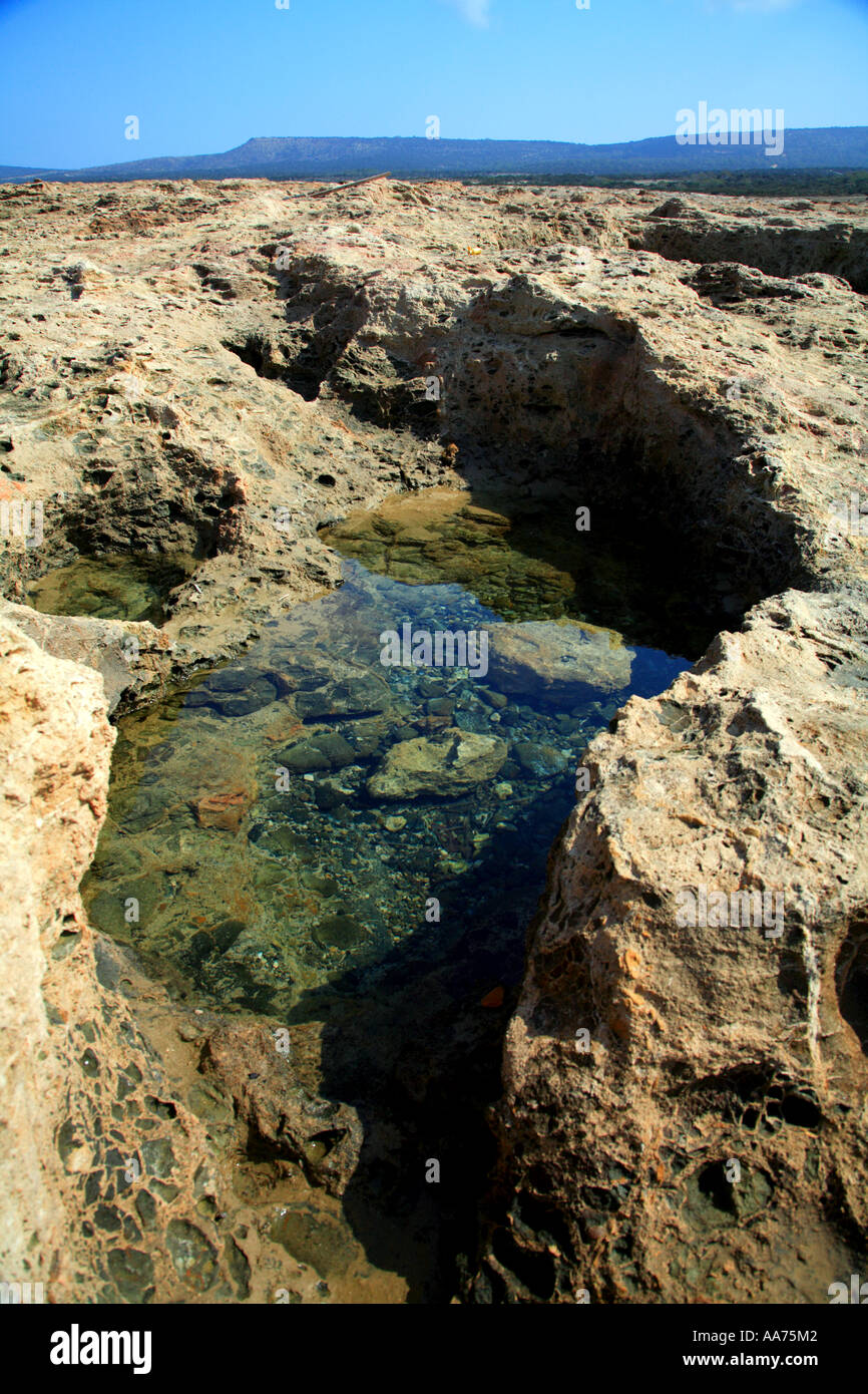Wave pool gold coast hi-res stock photography and images - Alamy