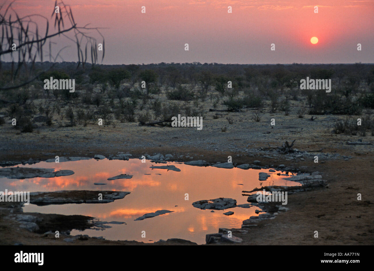A deserted Halali waterhole Halali camp Etosha National Park Namibia ...