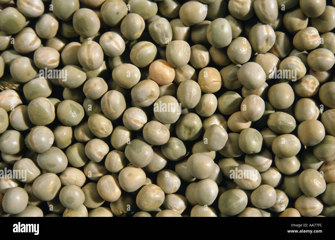 Peas Pea dry dried green Stock Photo - Alamy
