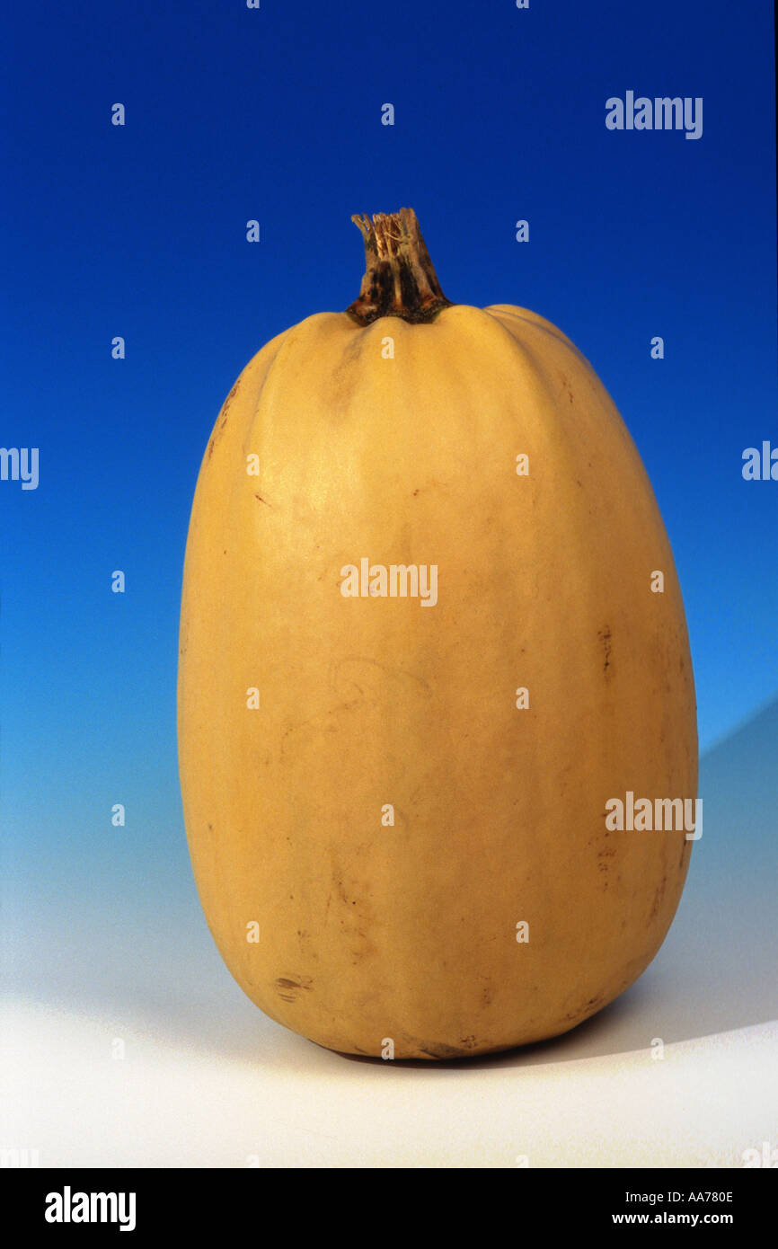 pumpkin single fruit Stock Photo - Alamy