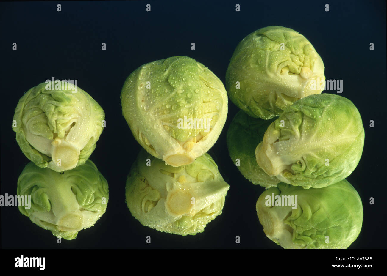 Vegetable Brussels sprouts cabbage Rosenkohl Stock Photo - Alamy