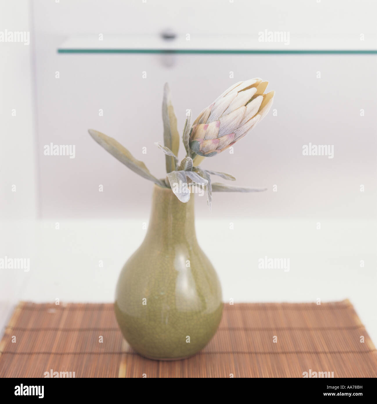 Vase curios hi-res stock photography and images - Alamy