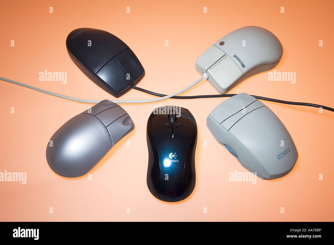 An array of computer mice Stock Photo - Alamy