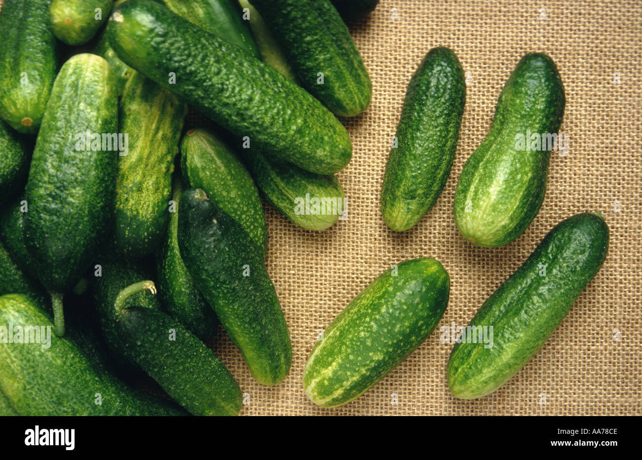 Gurken hi-res stock photography and images - Alamy