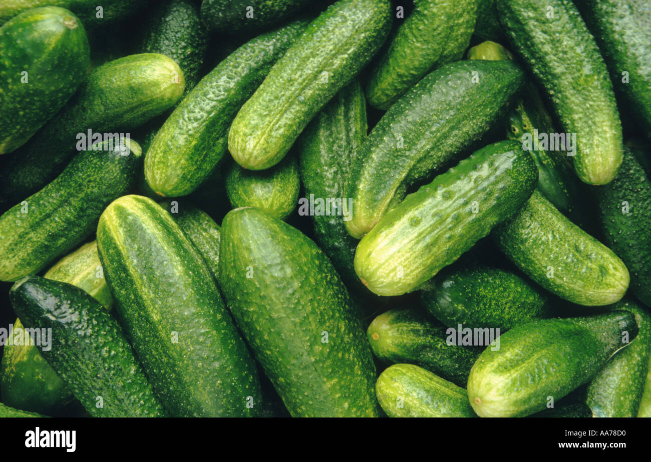 Gurken hi-res stock photography and images - Alamy