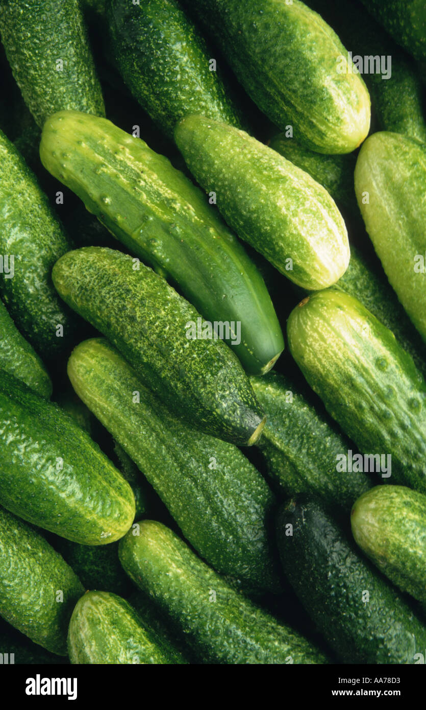 Gurken hi-res stock photography and images - Alamy