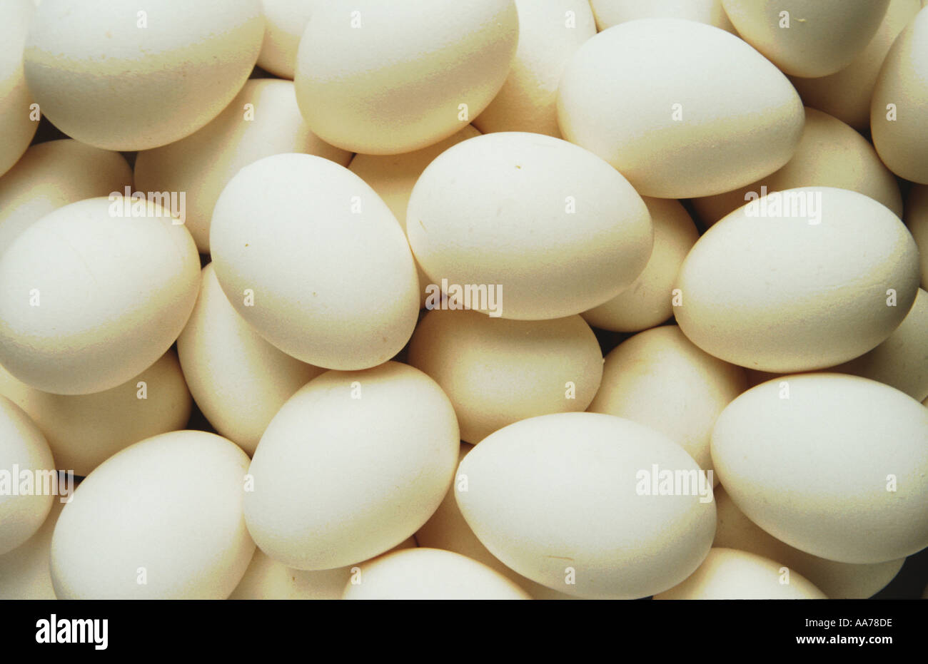 white eggs eggshell Stock Photo - Alamy
