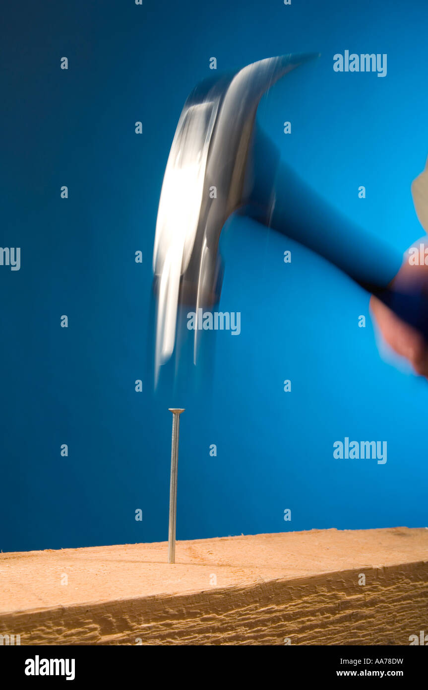 Hitting the nail on the head. Striking a nail with a hammer Stock Photo ...