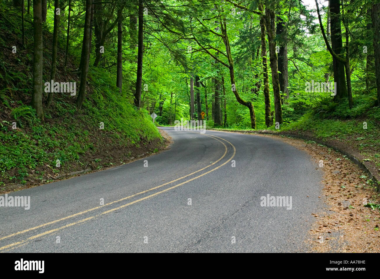 Columbia river gorge highway Stock Photo - Alamy