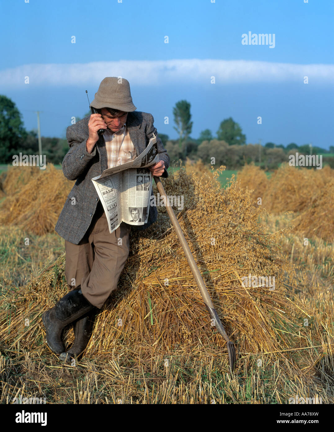 county kerry, modern day irish farmer in field of corn, farmer in ...