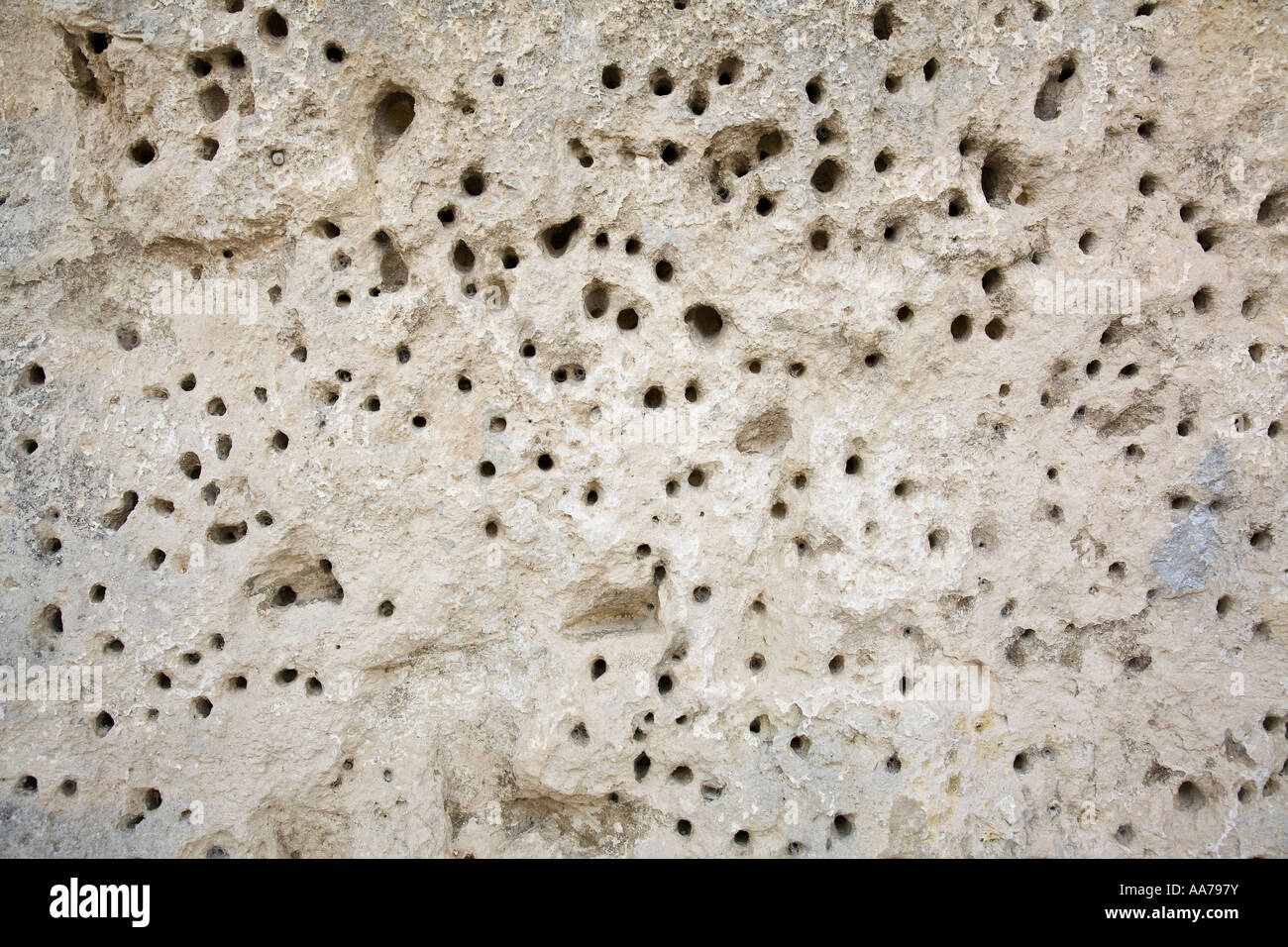 Closeup detail of holes in Tufa limestone Matera Italy Stock Photo - Alamy