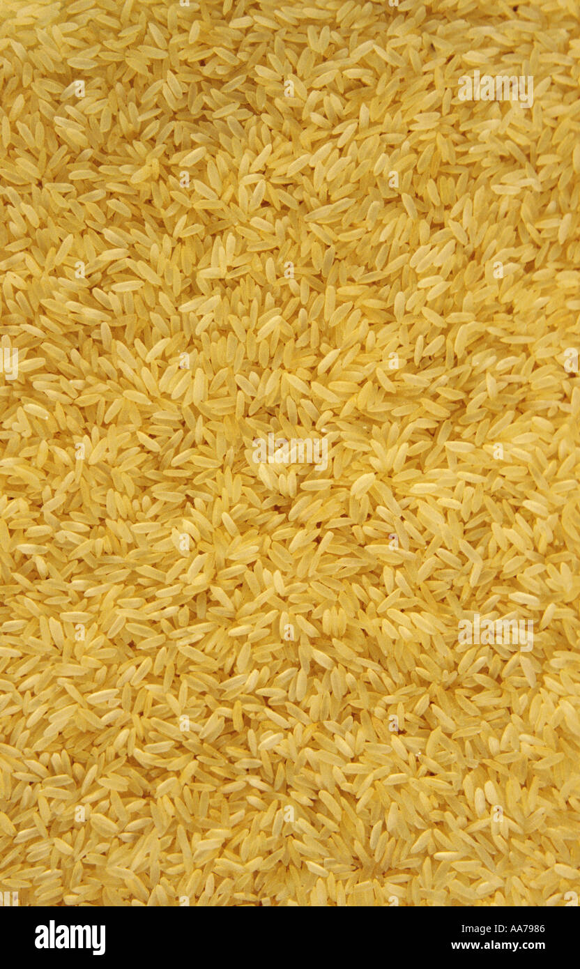 Food rice reis Stock Photo - Alamy