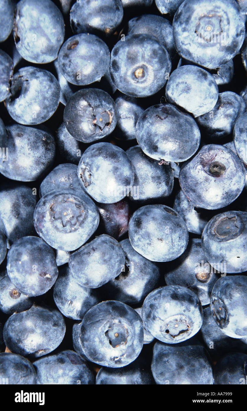 Heidelbeeren hi-res stock photography and images - Alamy