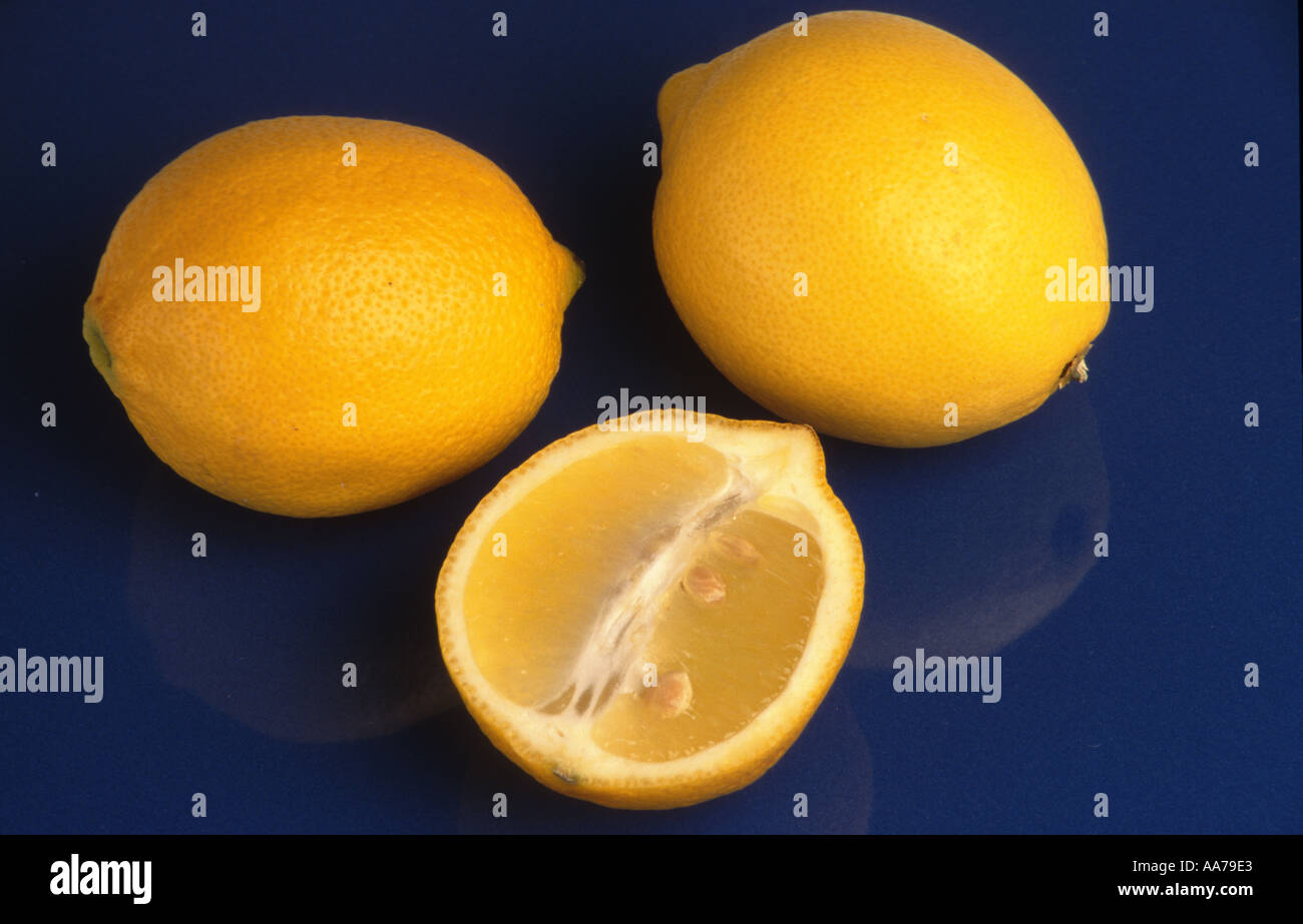 citrus fruit fruits lemon lemons food yellow sour acid zitrone zitronen ...