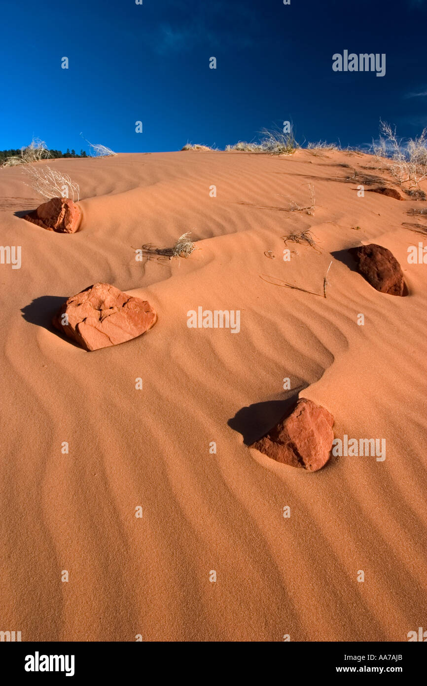 Coral pink state park patterns hi-res stock photography and images - Alamy