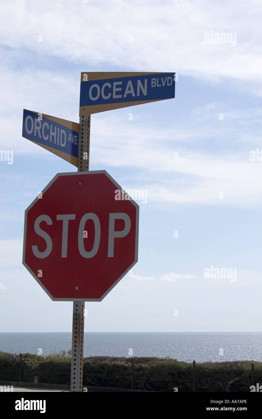Ave del mar hi-res stock photography and images - Alamy