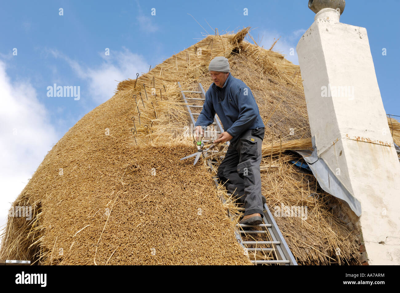 Thatcher thatch thatching wheat hi-res stock photography and images - Alamy