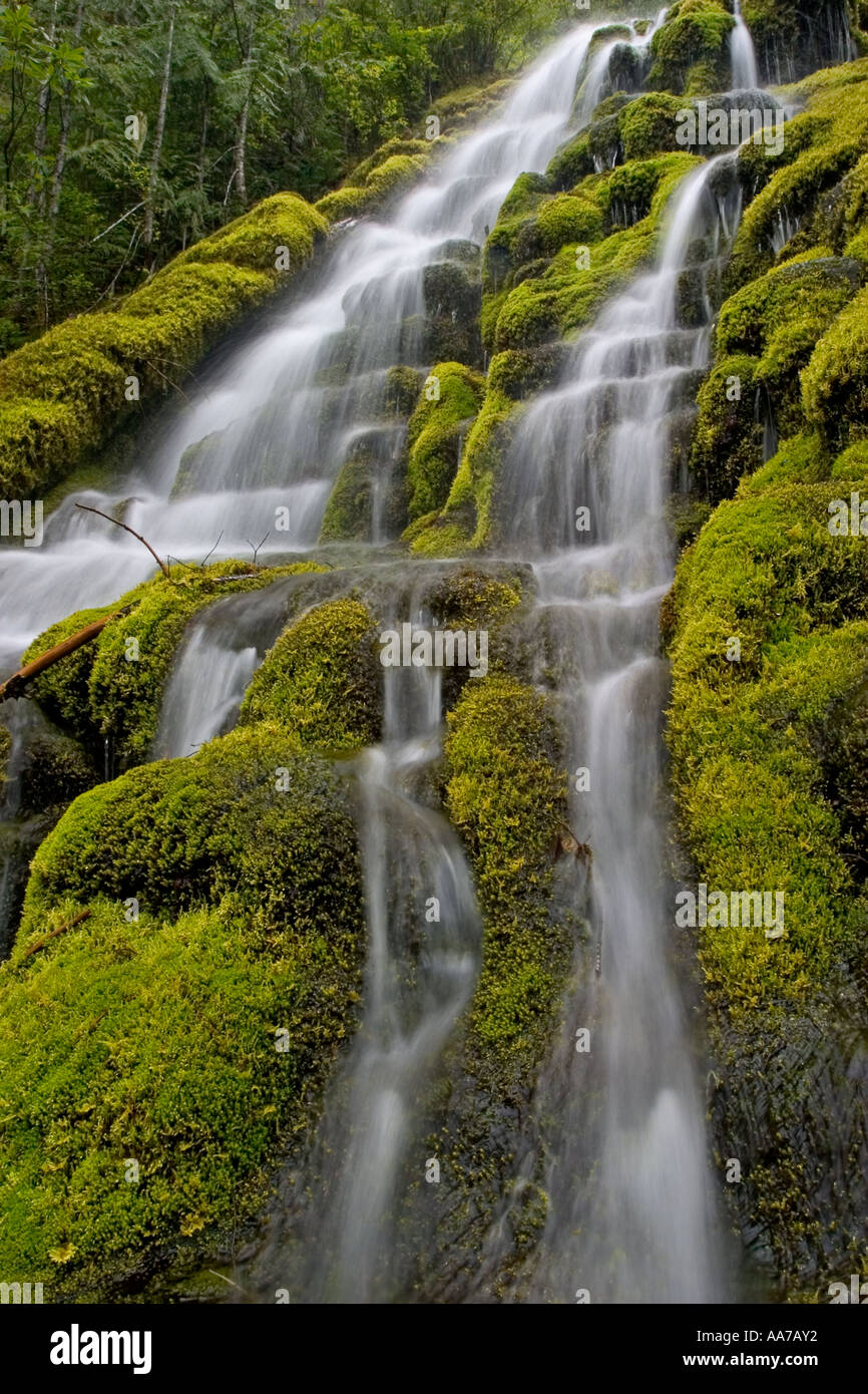 Waterfall central oregon cascades hi-res stock photography and images ...