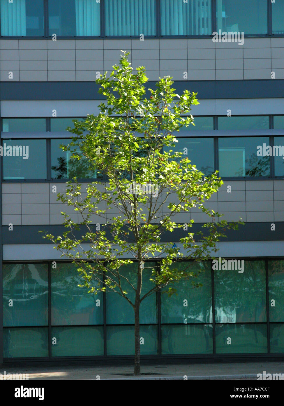 Louvres commercial hi-res stock photography and images - Alamy