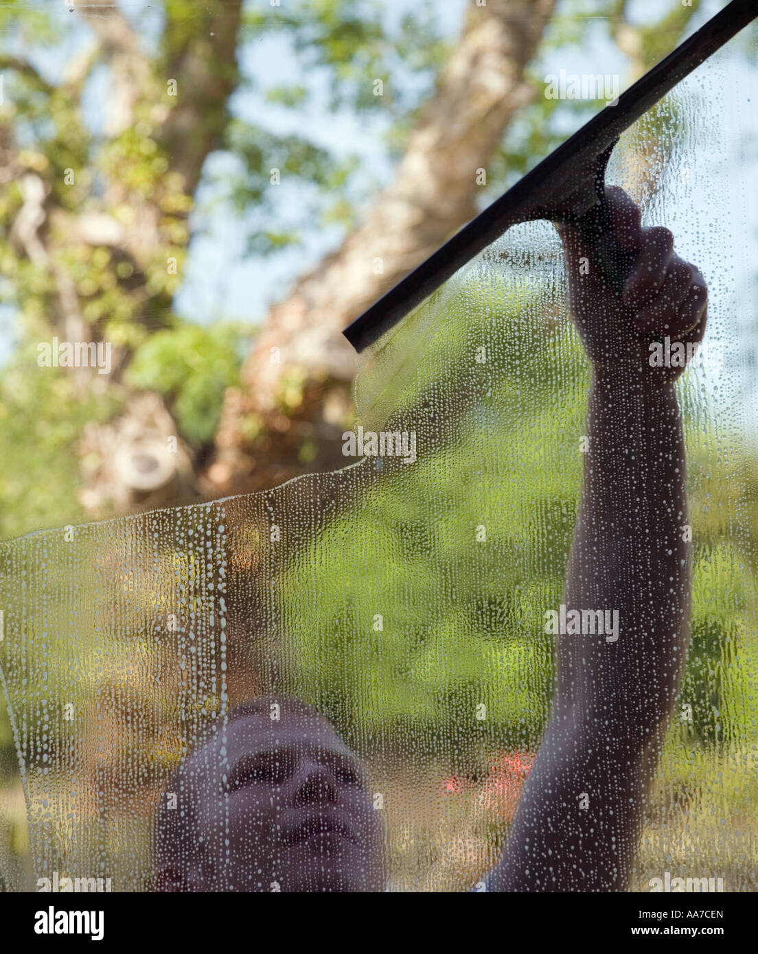 Window cleaner man cleaning outside windows wiping soap suds with ...