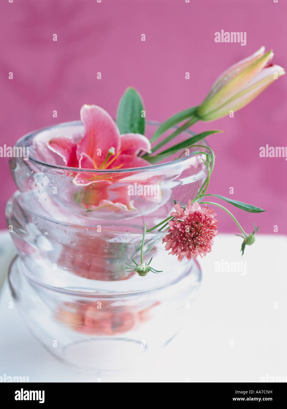 flower in the transparent vessel Stock Photo - Alamy