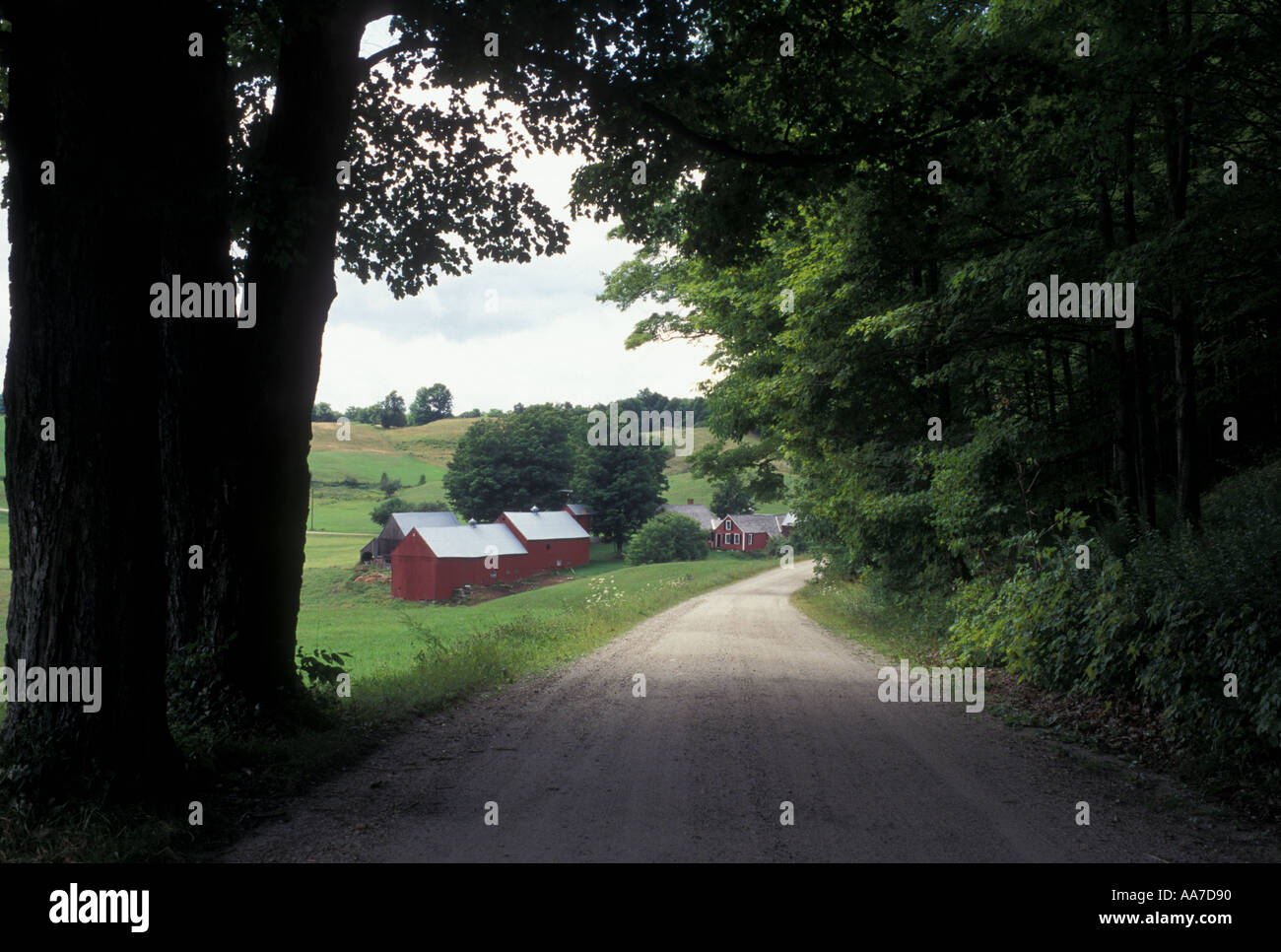 Jenne farm in reading vermont hi-res stock photography and images - Alamy