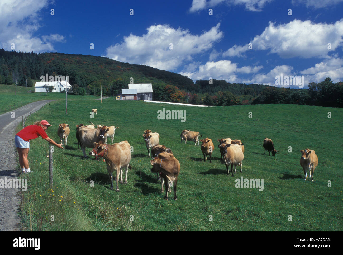 Sheffield vermont hi-res stock photography and images - Alamy