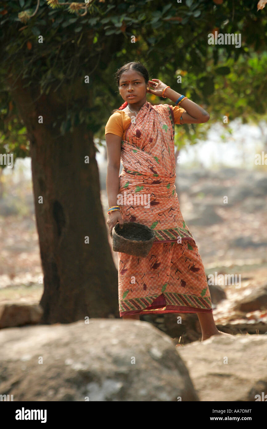 Woman gathering Mahua fruit at a Kutia Kondh village near Baliguda ...