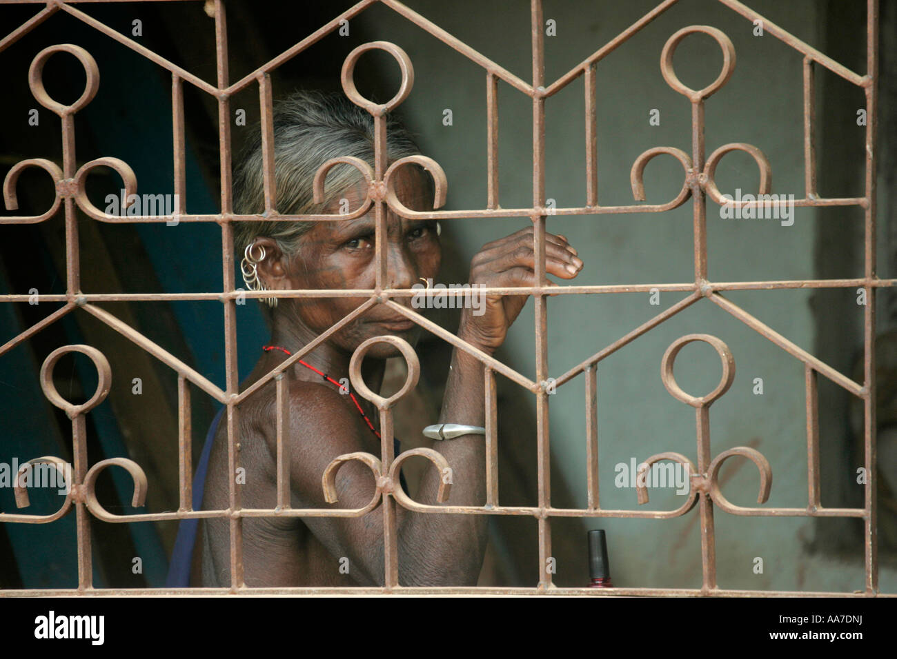 Woman at a Kutia Kondh village near Baliguda, Orissa, India Stock Photo ...