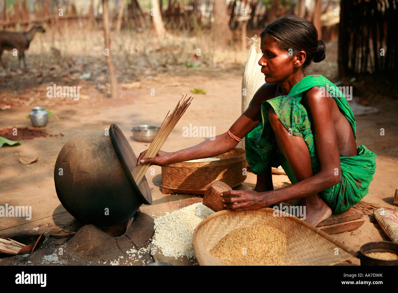Woman making puffed rice at a village near Baliguda, Orissa, India ...