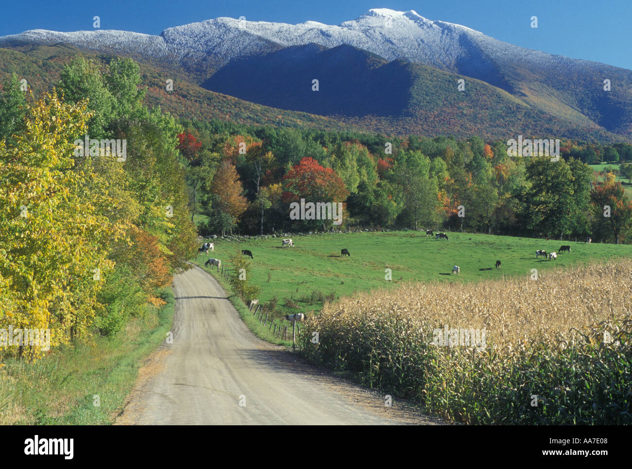 Cambridge vermont hi-res stock photography and images - Alamy