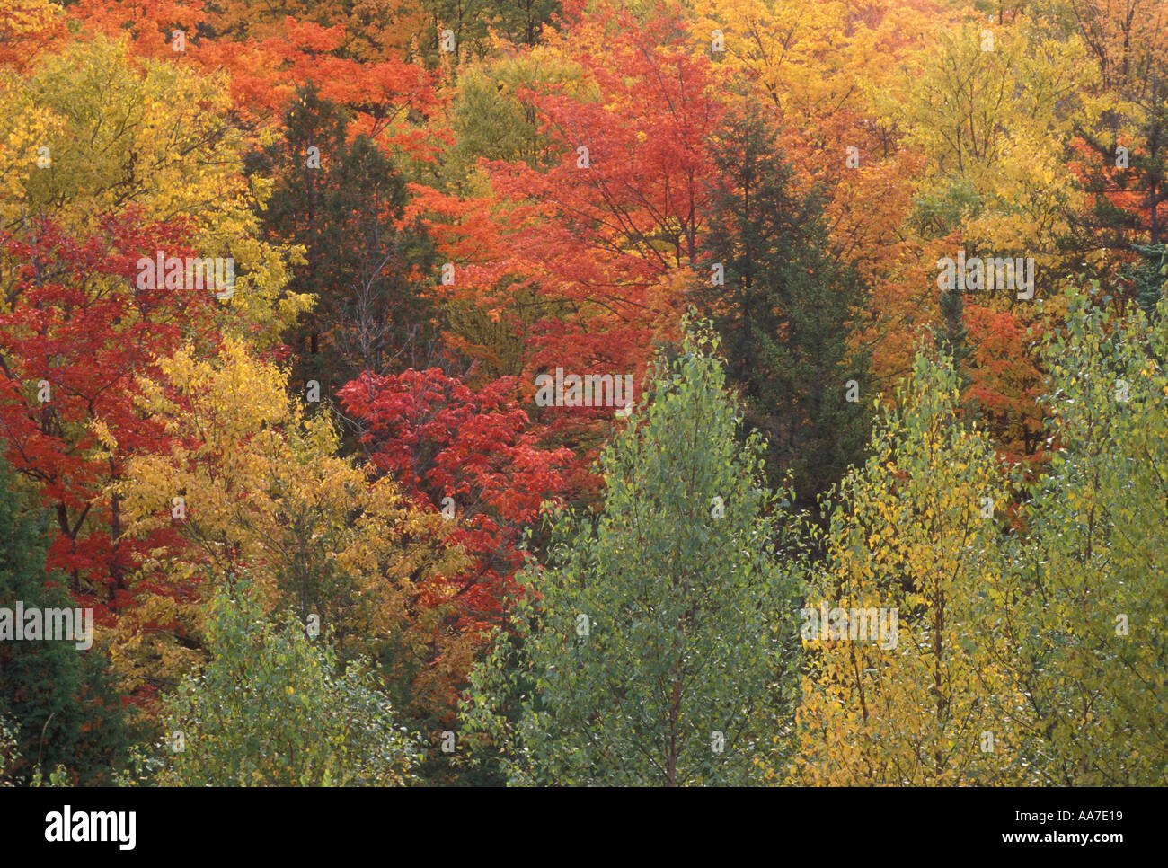 Westmore, vermont hi-res stock photography and images - Alamy
