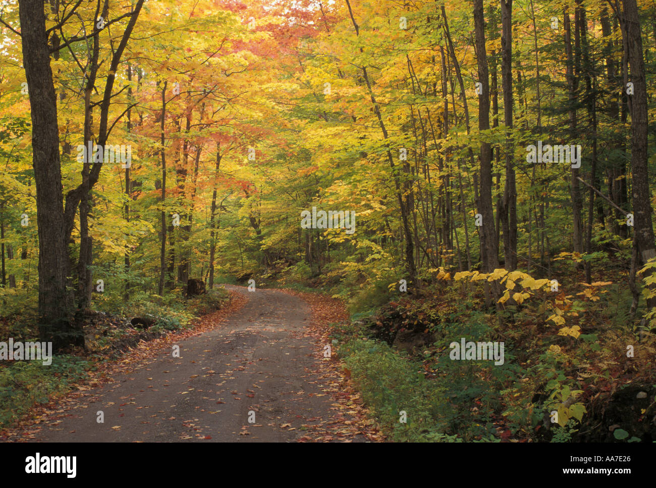 Westmore, vermont hi-res stock photography and images - Alamy