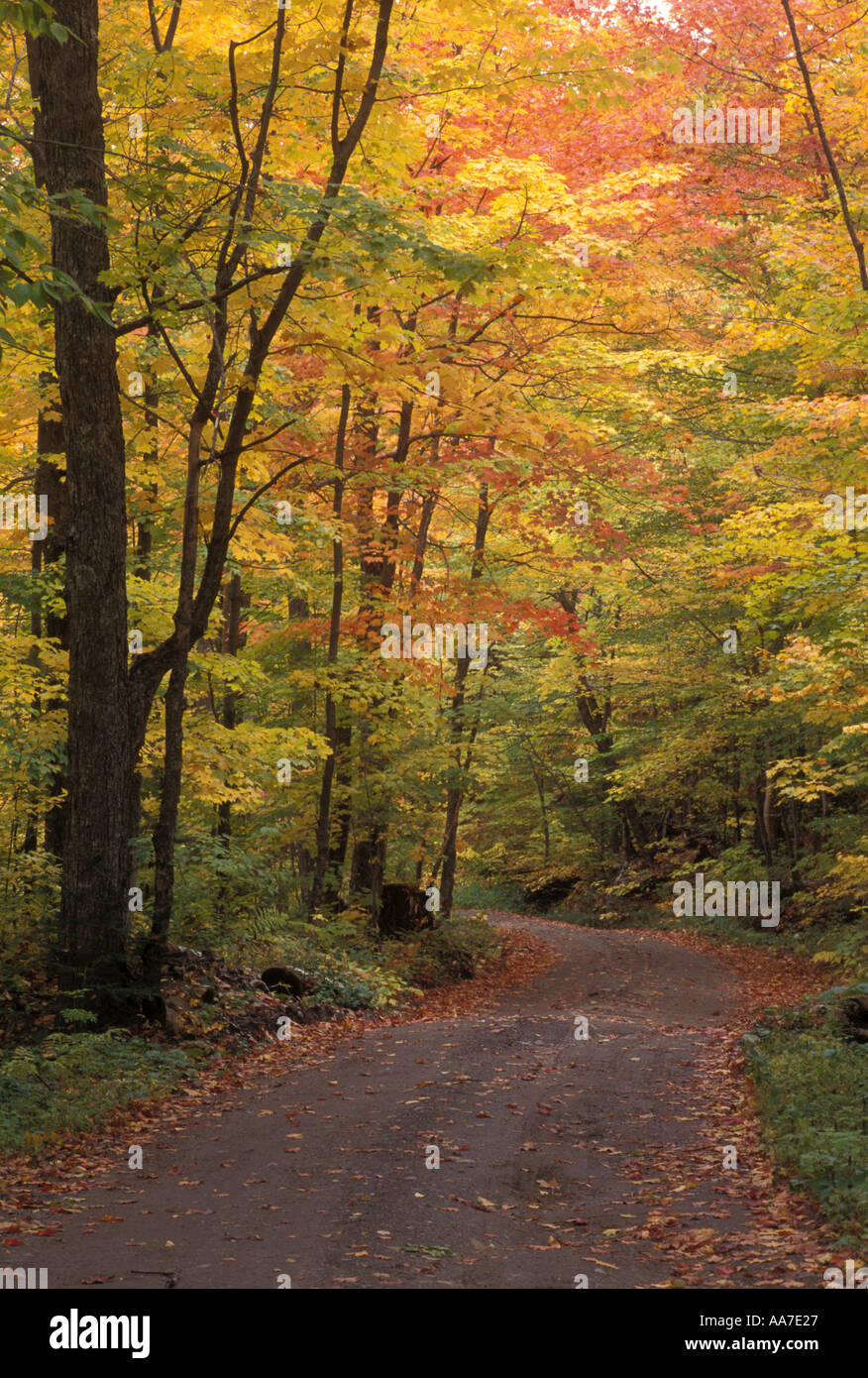 Westmore, vermont hi-res stock photography and images - Alamy