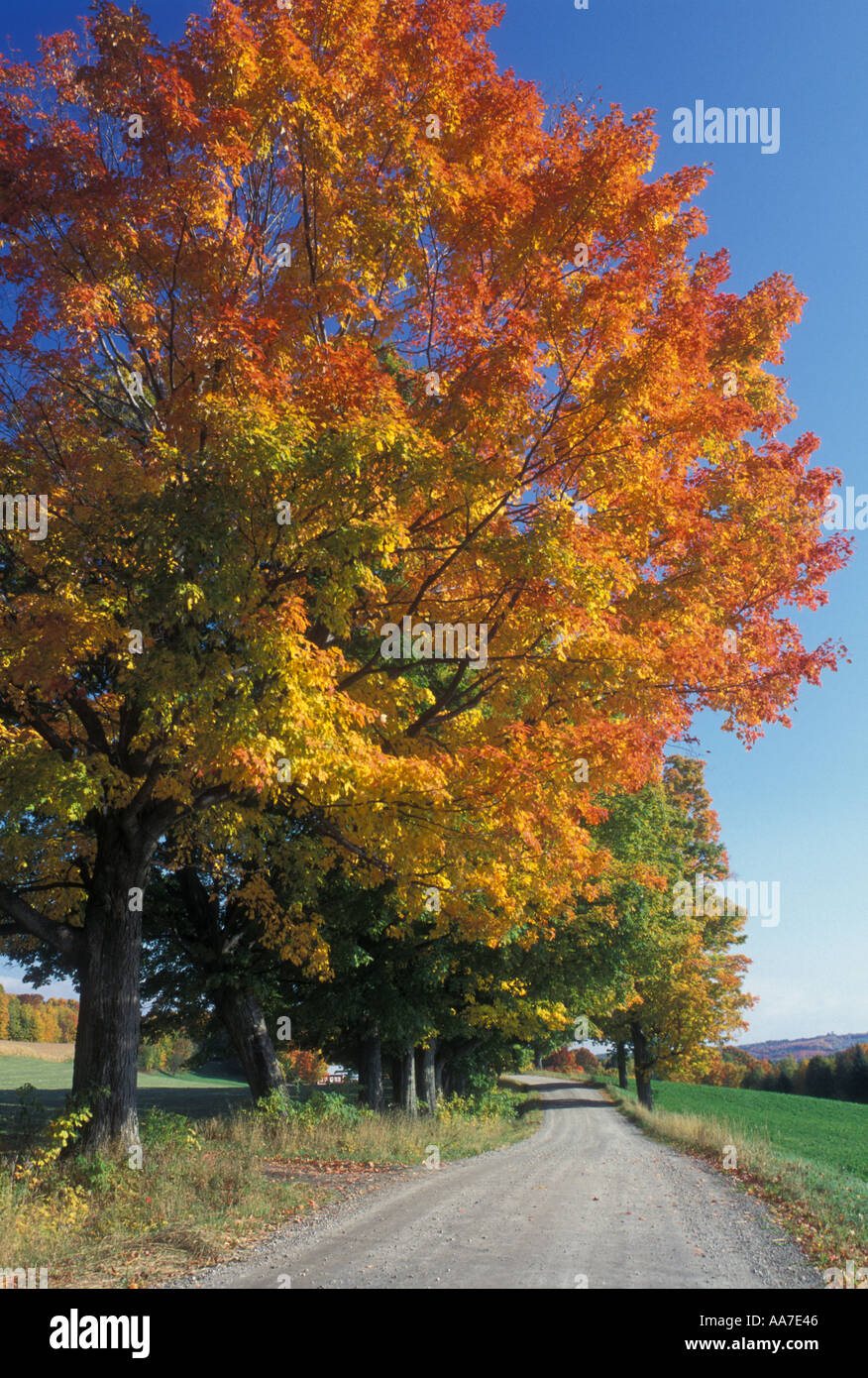 Vermont country roads fall colors usa united states High Resolution ...