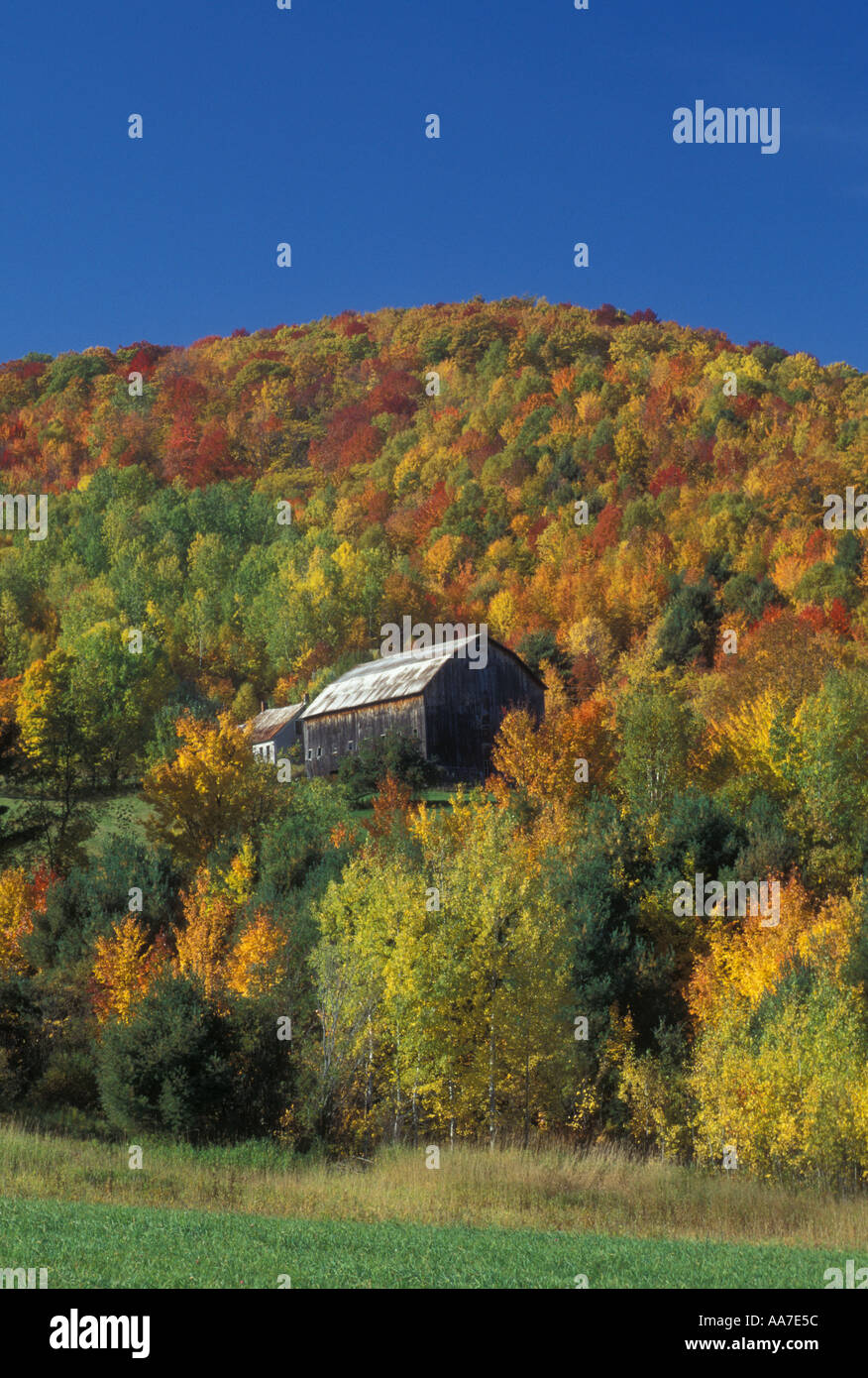 Barn autumn fall vermont vt foliage hi-res stock photography and images ...