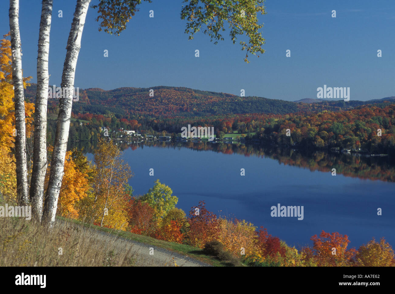 Barnet vermont hi-res stock photography and images - Alamy