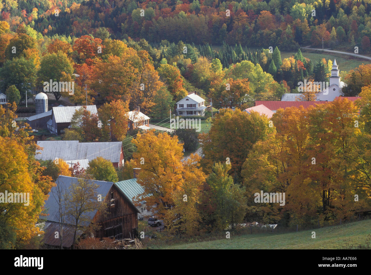 East Topsham High Resolution Stock Photography and Images - Alamy