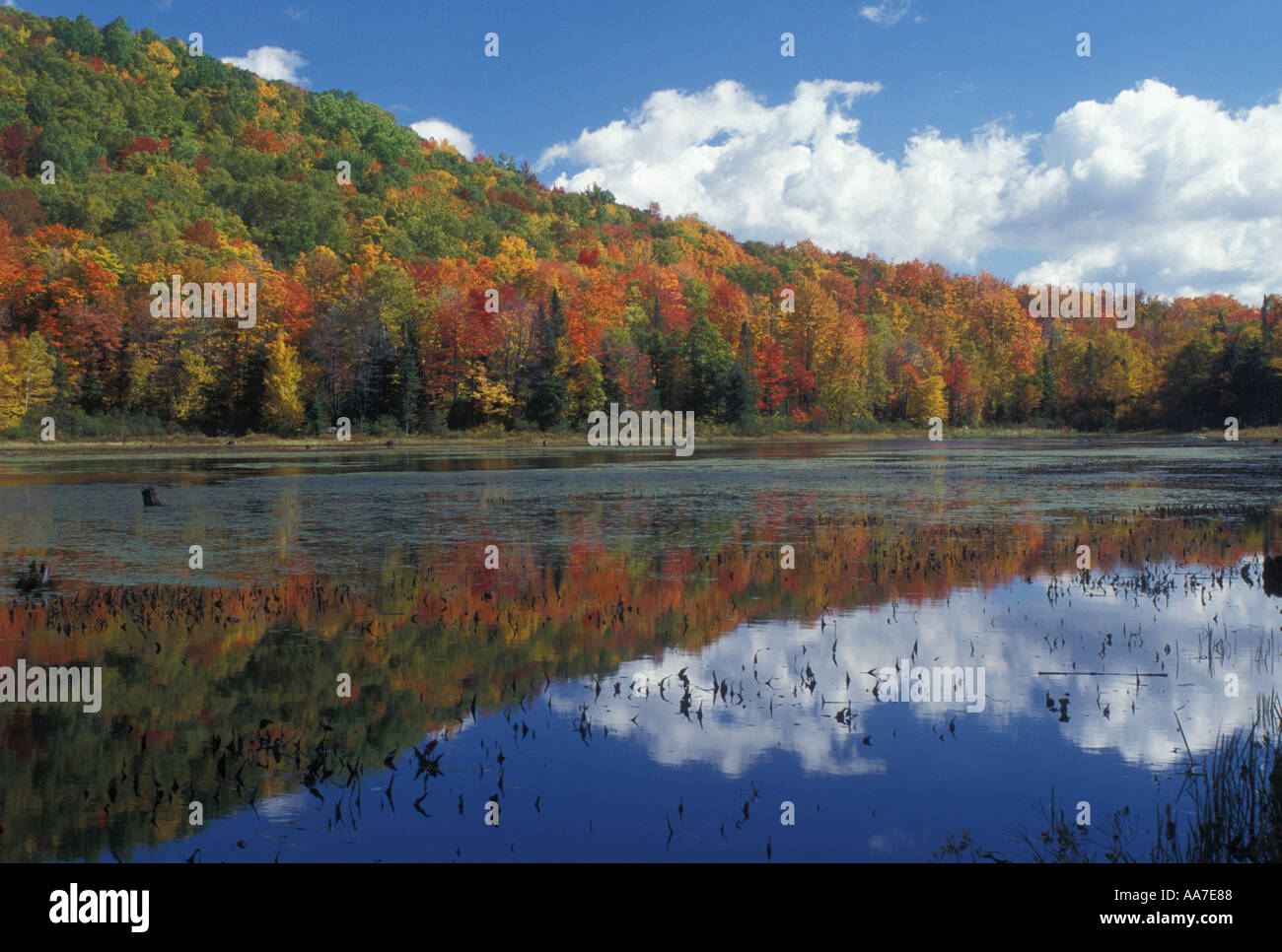 Marshfield and vermont hi-res stock photography and images - Alamy
