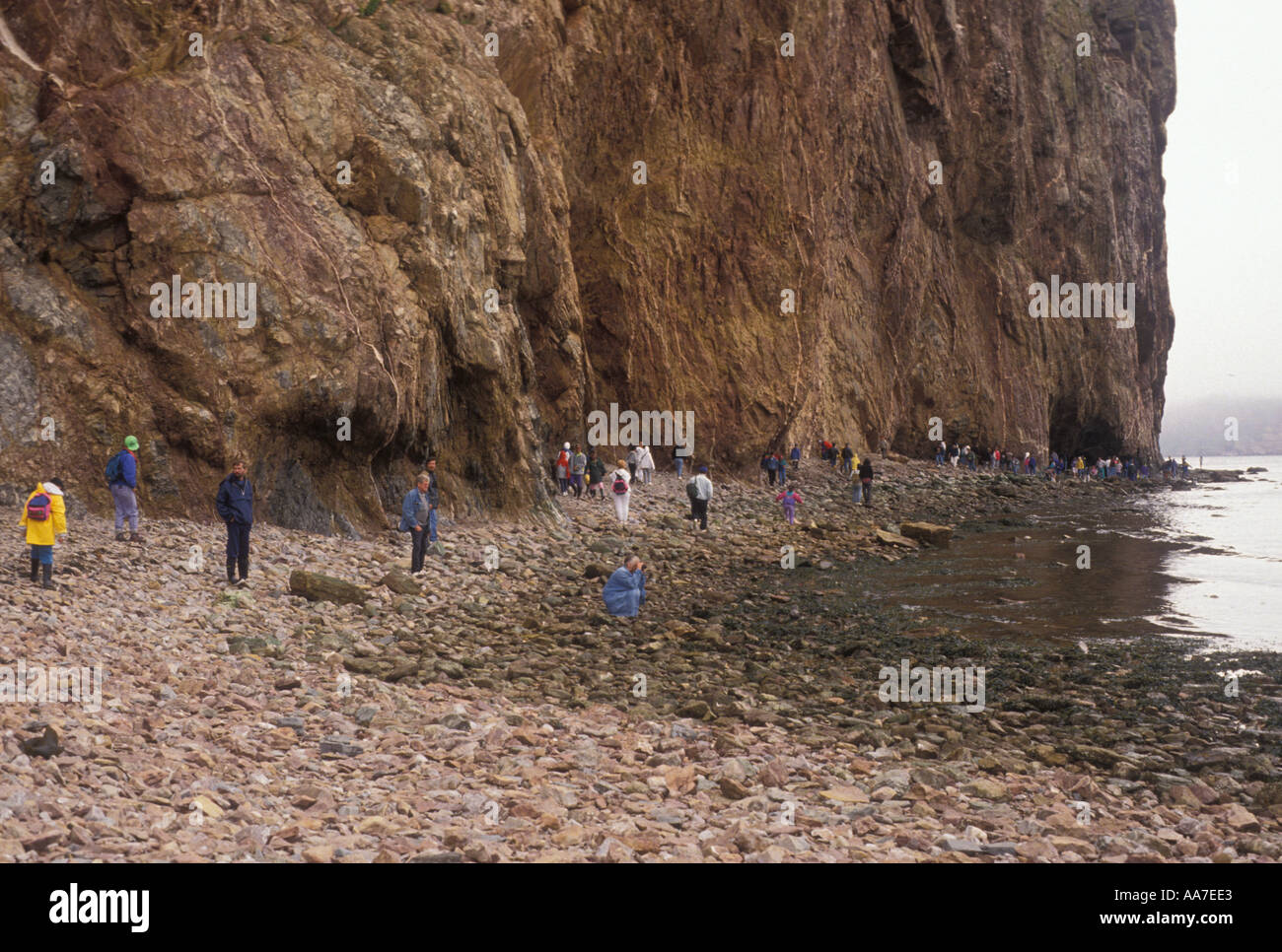 Perce rock low tide quebec hi-res stock photography and images - Alamy