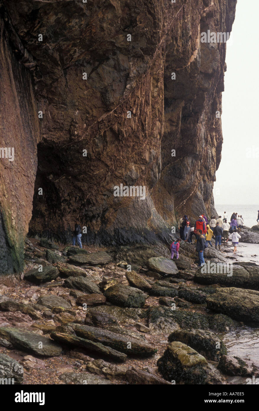 Perce rock low tide quebec hi-res stock photography and images - Alamy