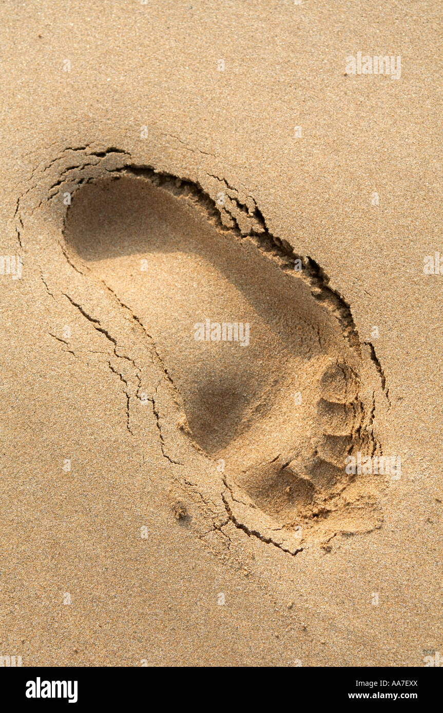 Single footprint in the sand hi-res stock photography and images - Alamy