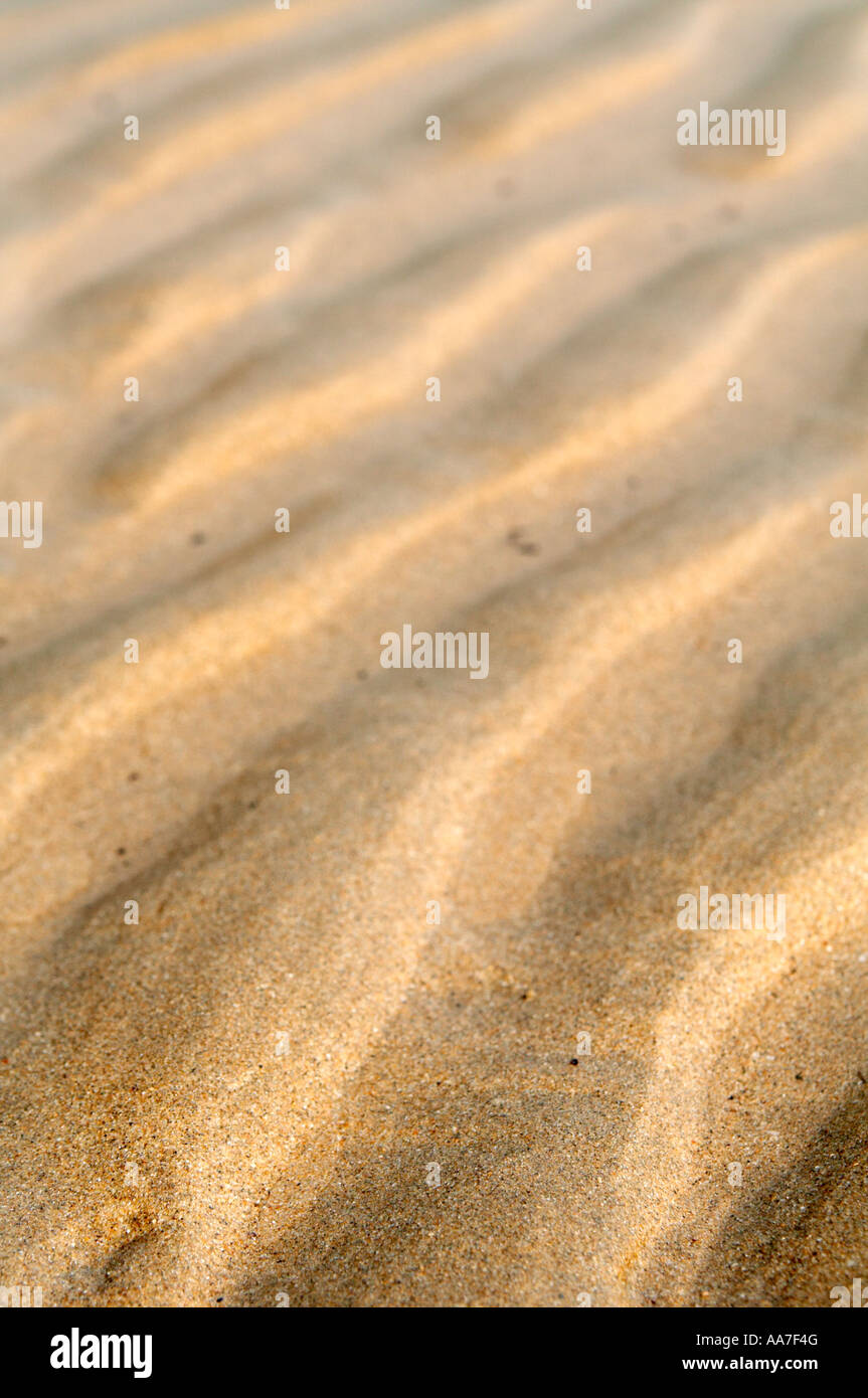 Wave patterns in the sand, UK Stock Photo - Alamy