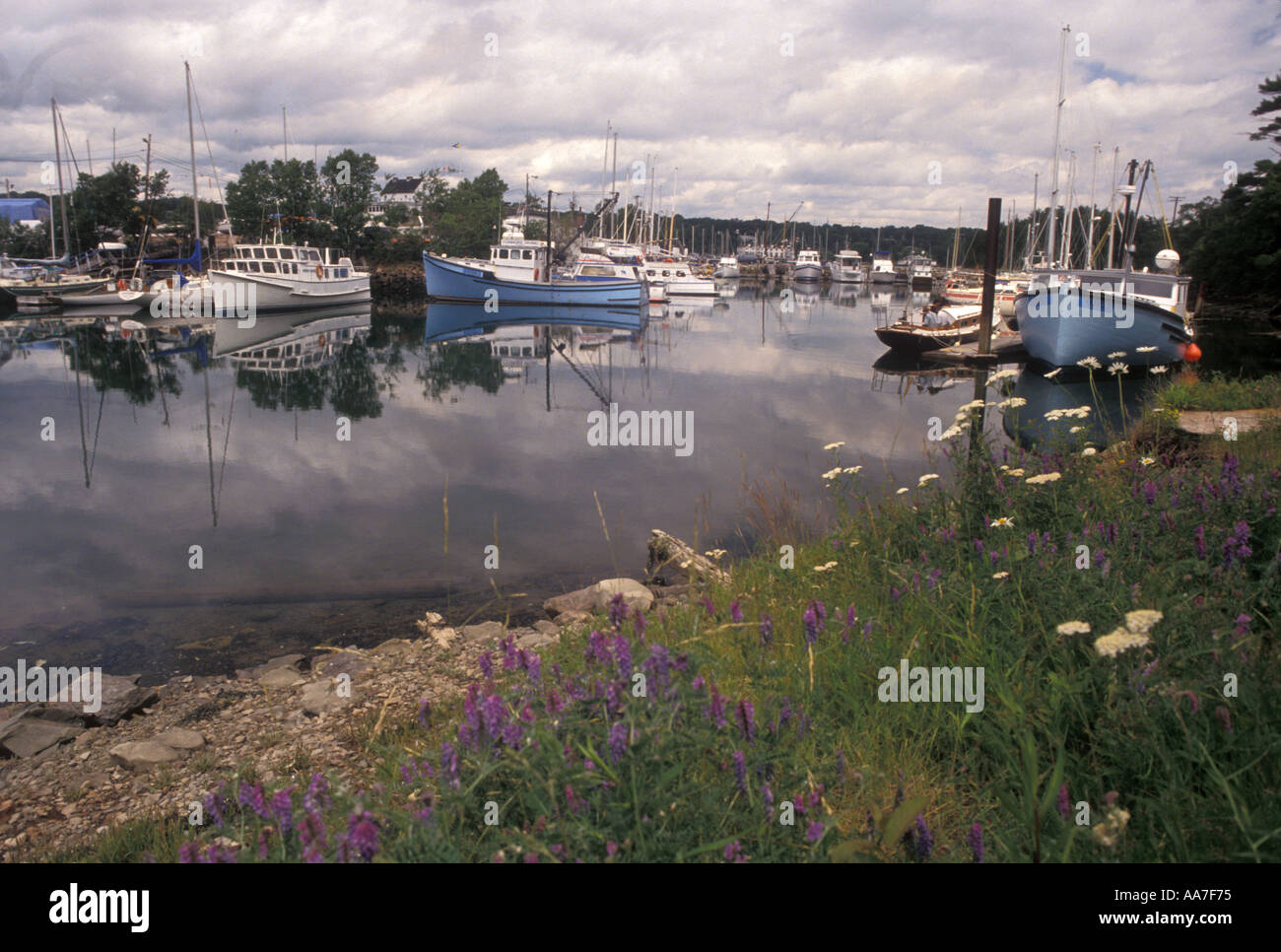 Armdale hi-res stock photography and images - Alamy